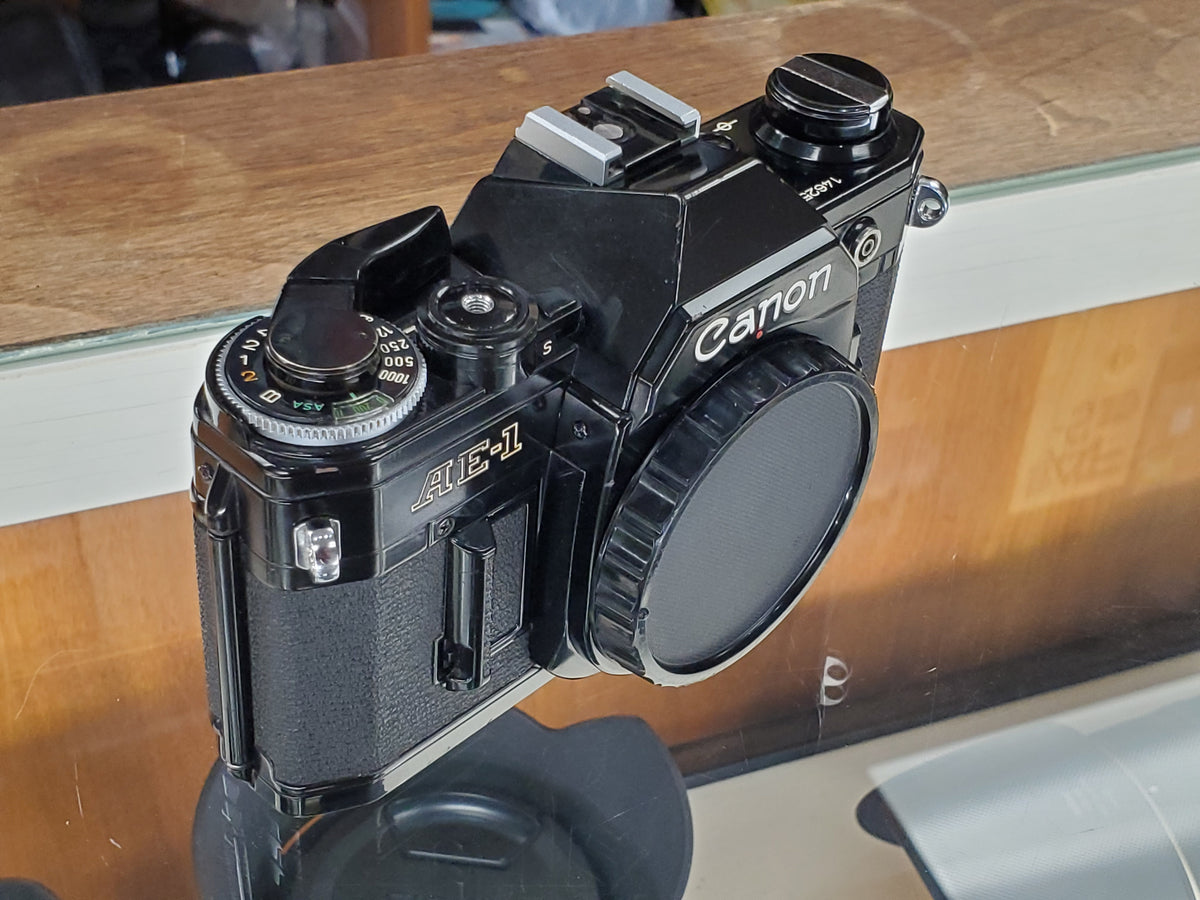 Black Canon AE-1, 35mm SLR Film Camera, Fresh CLA, Light Seals, Warran ...